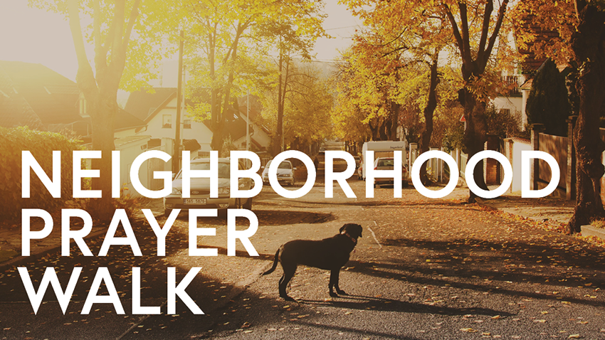 Devotionals & Practices | The Creek Church, Indianapolis